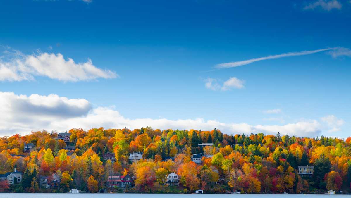 Fall foliage 2019: This map shows where you can expect to see peak fall ...