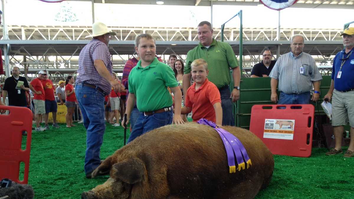 New record big boar crowned at State Fair