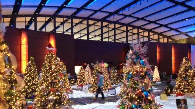 Photos: Festival of Trees, Lights