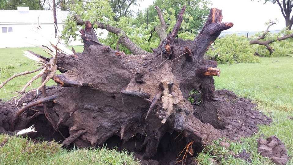 Photos: Storm damage in Iowa June 24