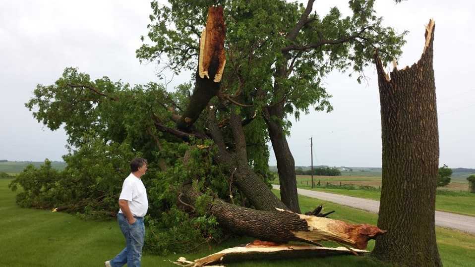 Photos: Storm damage in Iowa June 24