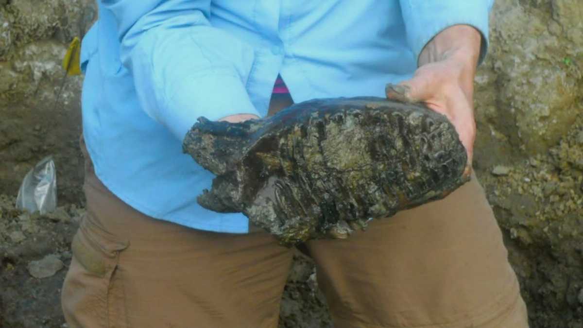 Iowa's big mammoth dig gets even bigger