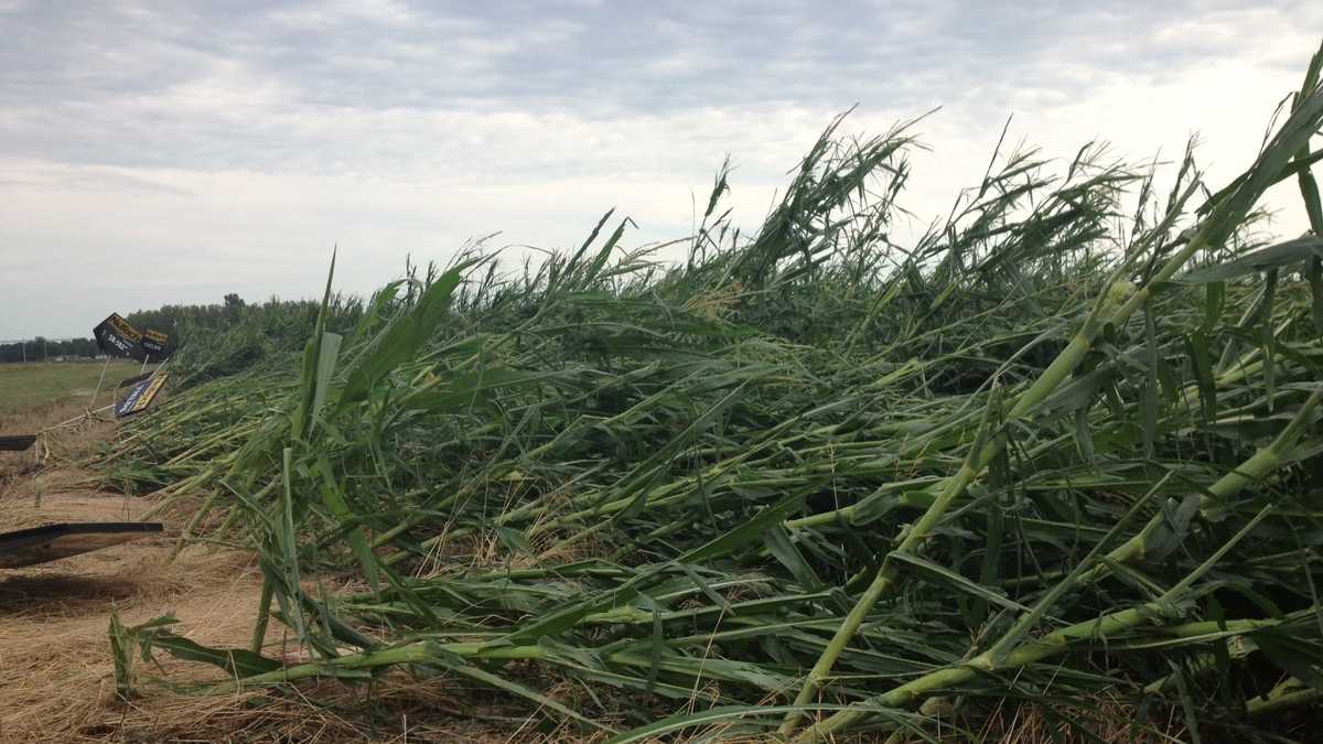 Photos: Storm damage in Boone County