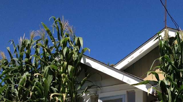 Photos: The corn house in Des Moines