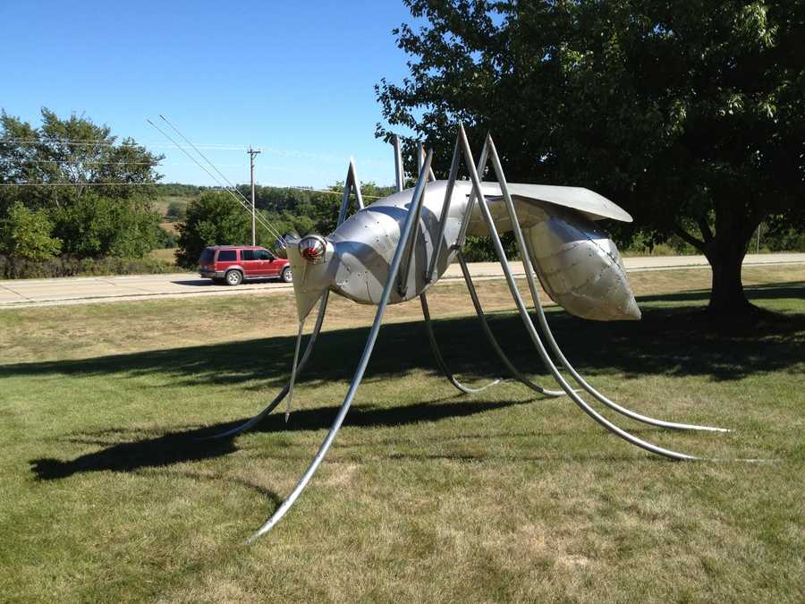 Photos: Iowa man makes big bug sculptures