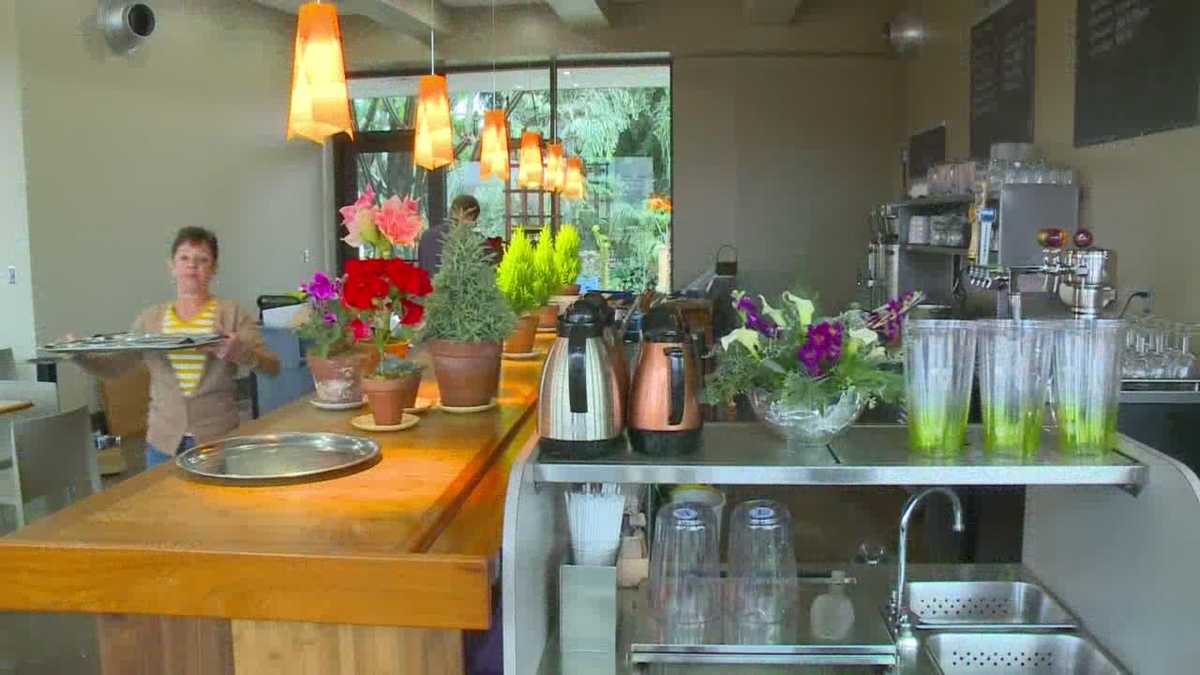New downtown restaurant, Trellis, opens today