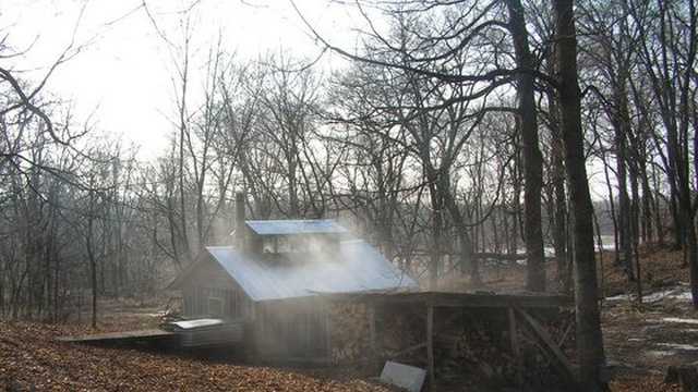 Volunteers learn to tap Iowa maple trees