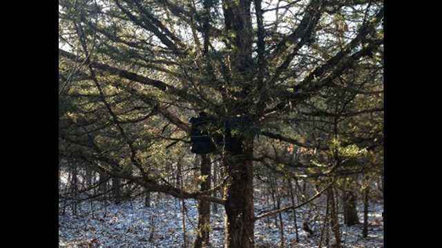 3 indicted in bank robbery after money found in tree