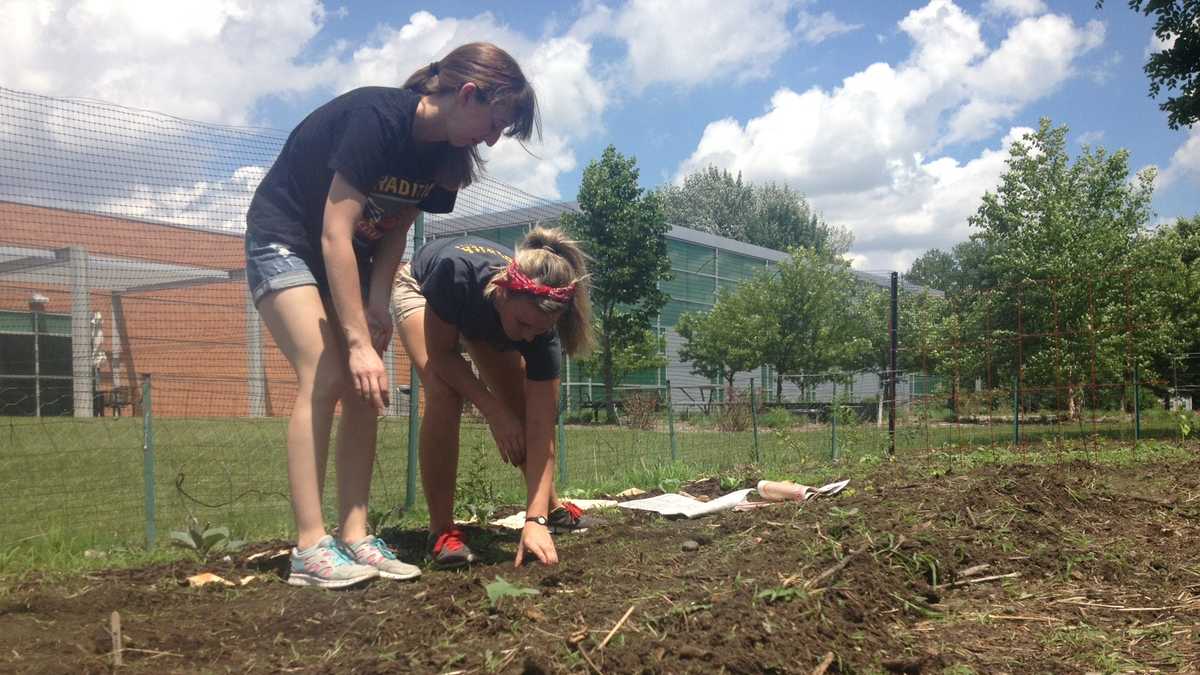 Photos: ISU garden growing free food