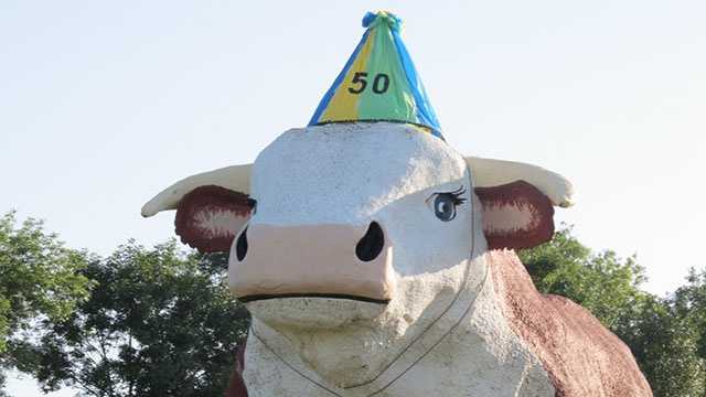Big birthday milestone for Iowa's biggest bull