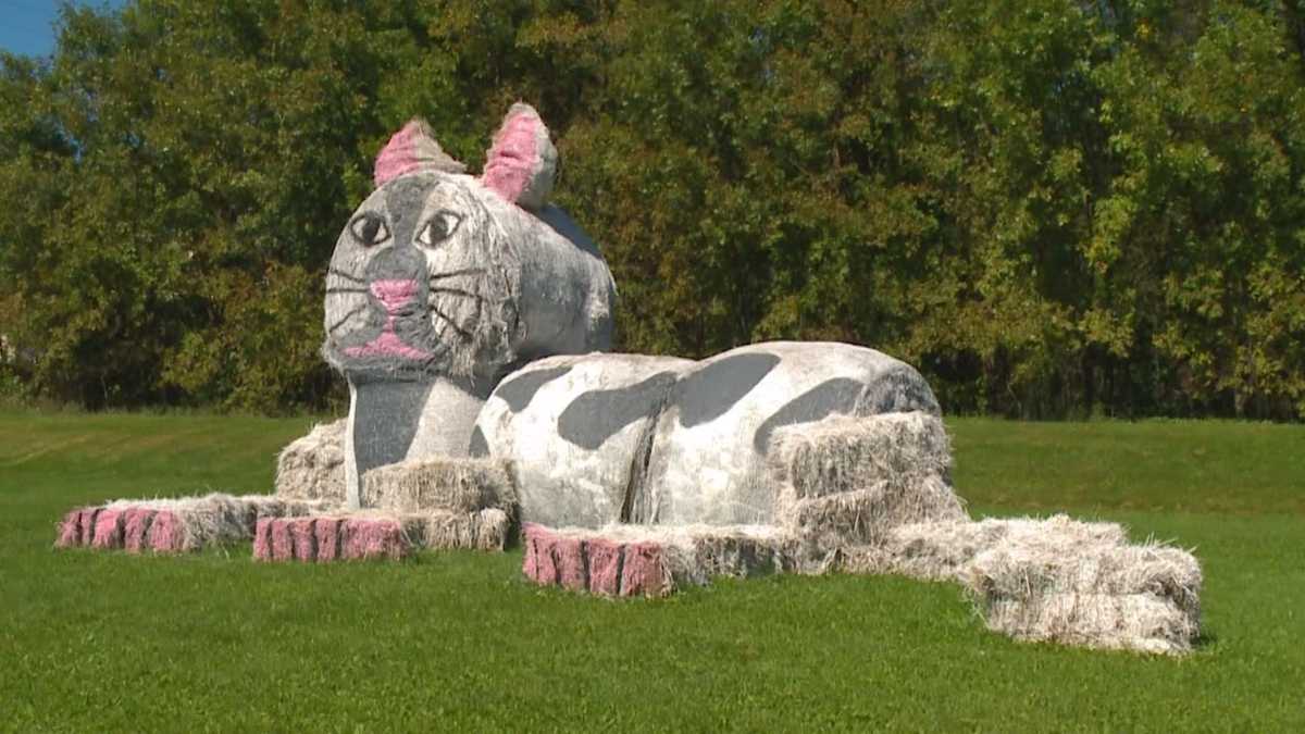 Photos: Hey, take a look at this Iowa Hay Bale Art