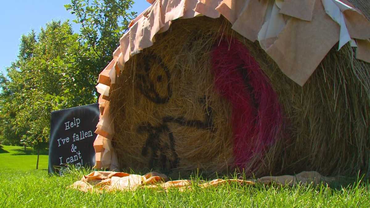 Photos: Hey, take a look at this Iowa Hay Bale Art