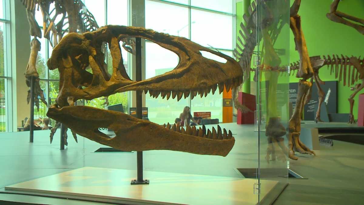Science Center opening new exhibit your kids will love