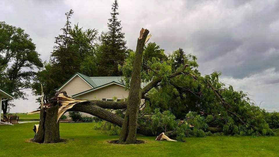 NEW photos: Storm damage reported Monday in Iowa
