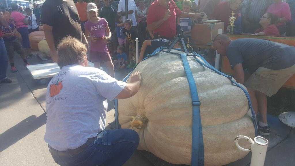 PHOTOS: Iowa State Fair Big Pumpkin Contest