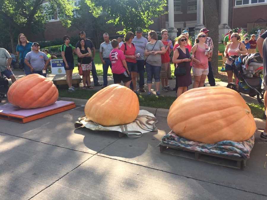 PHOTOS: Iowa State Fair Big Pumpkin Contest