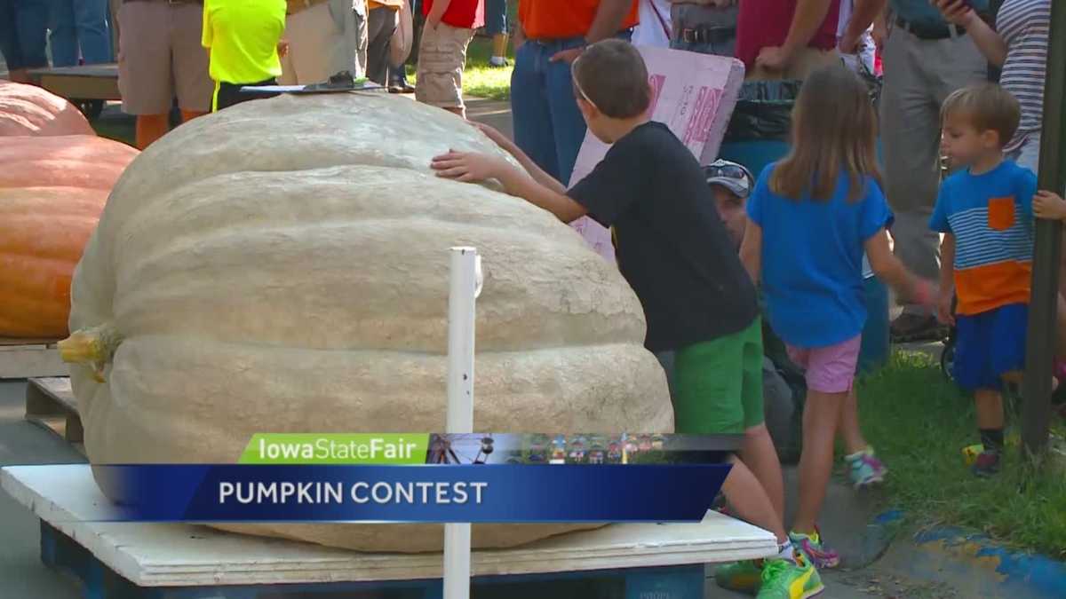PHOTOS: Iowa State Fair Big Pumpkin Contest