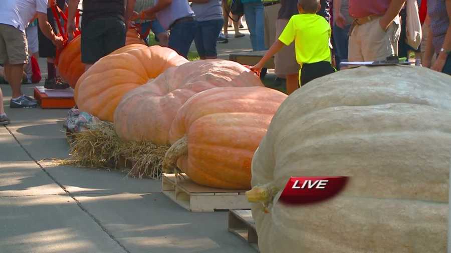 PHOTOS: Iowa State Fair Big Pumpkin Contest