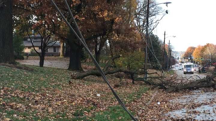 NEW PHOTOS: Storm damage across Iowa Nov. 11