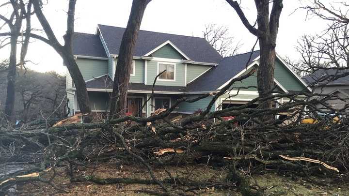 NEW PHOTOS: Storm damage across Iowa Nov. 11