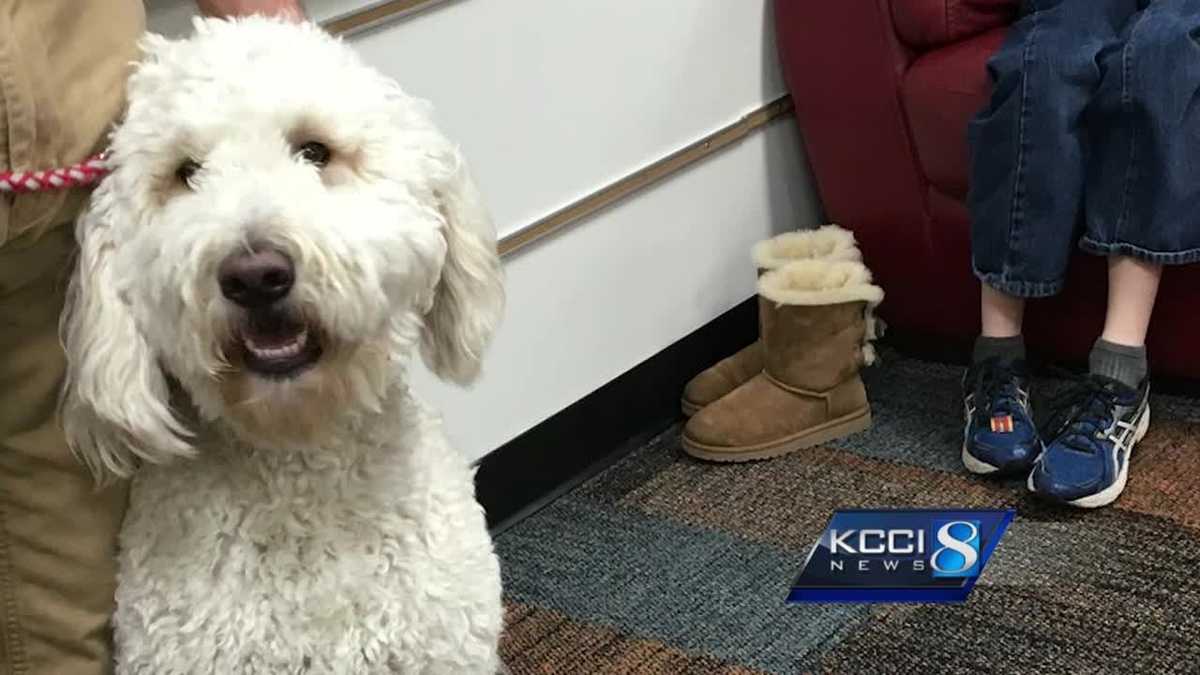 Fourth-graders raise money for district's first therapy dog