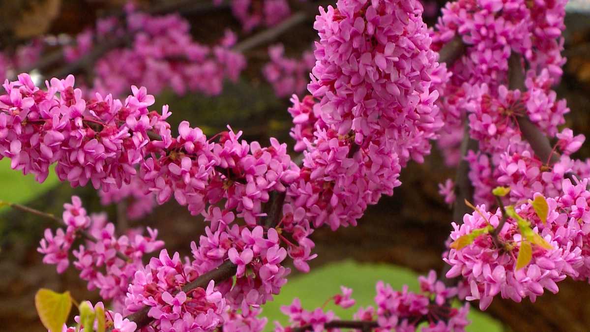 PHOTOS: Sights of spring