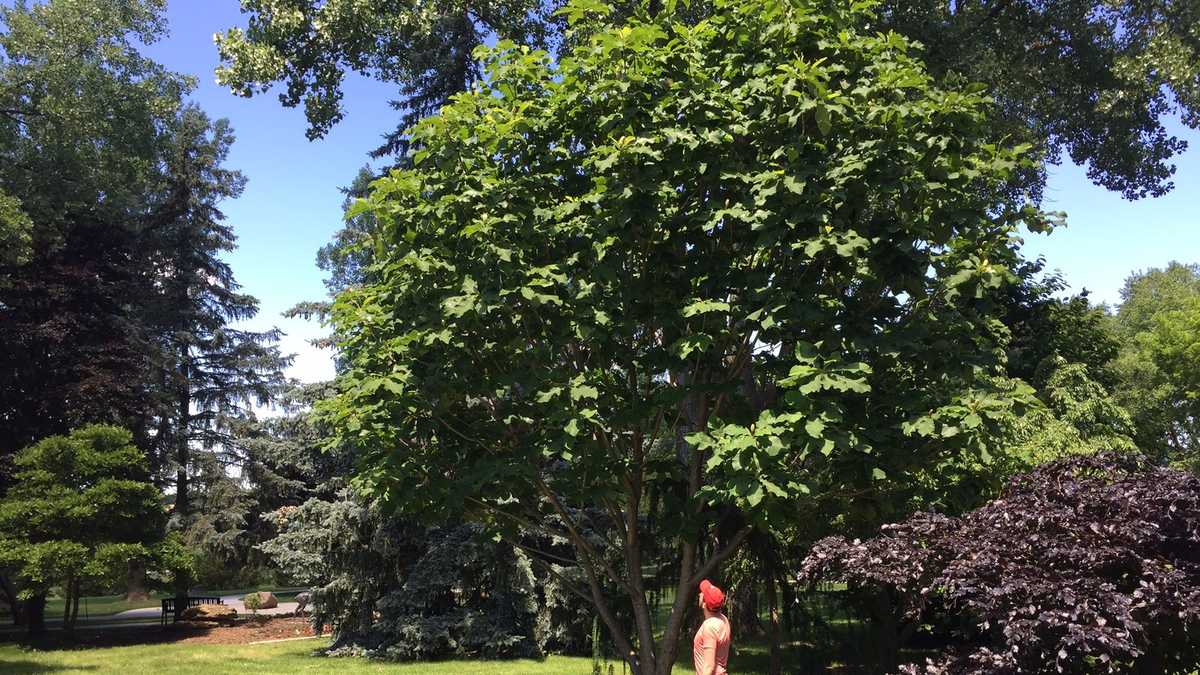 PHOTOS: Sneak peek at new Urbandale Baldwin Dunlap Park