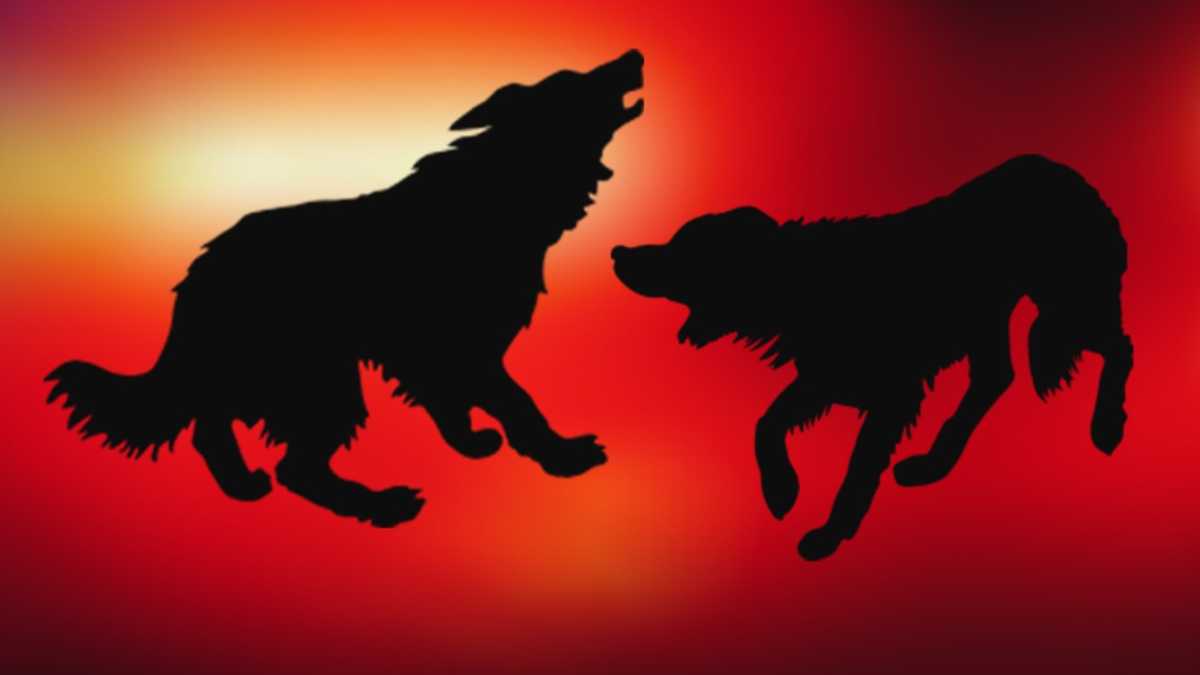 Police say 2 adults, 1 child injured when dog pack attacks