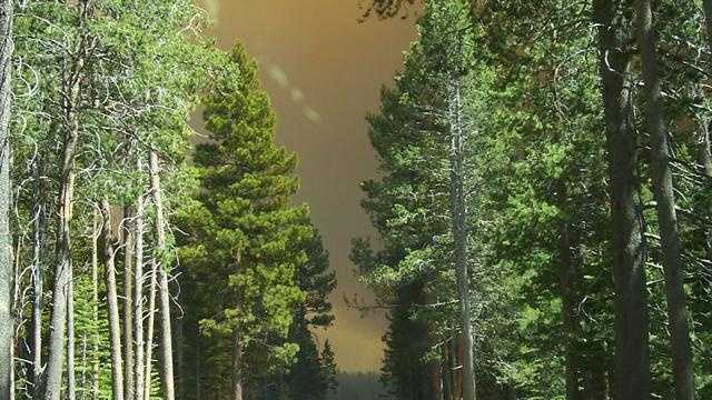 Photos: A look back at the Angora wildfire