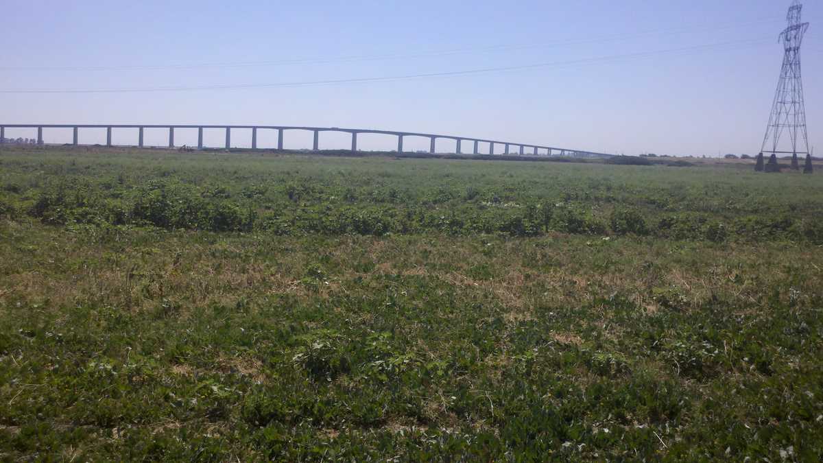 Photos from the field: Earthquake exercise tests Delta levees