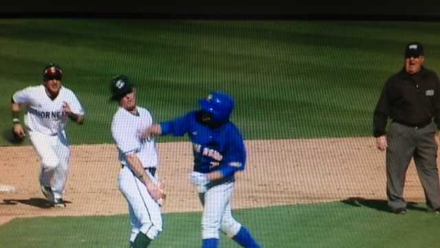 Bench-clearing brawl erupts at Sac State's home-opener