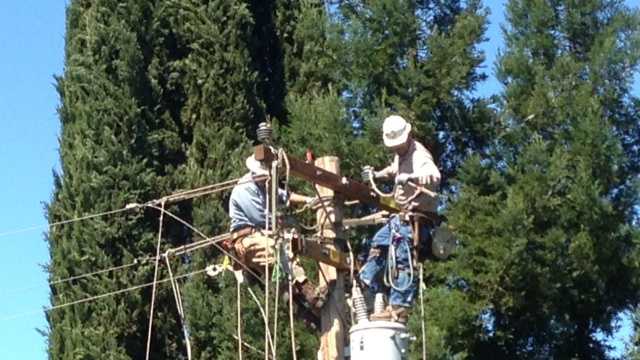 Timber! High winds knock down tree limbs, power lines