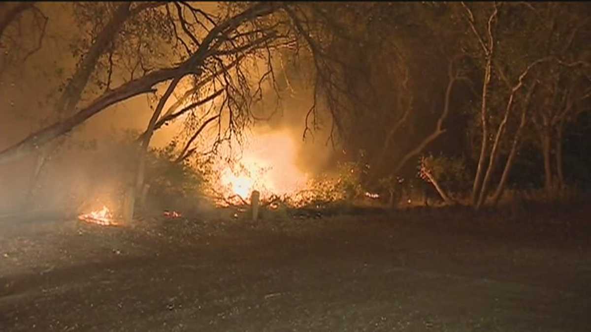 Photos: Wildland fire scorches American River Parkway