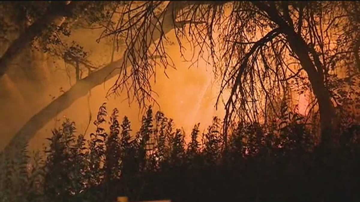 Photos: Wildland fire scorches American River Parkway