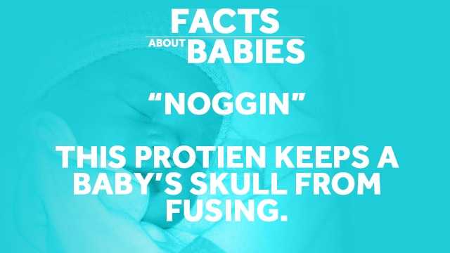 No kneecaps? Check out these odd facts about babies