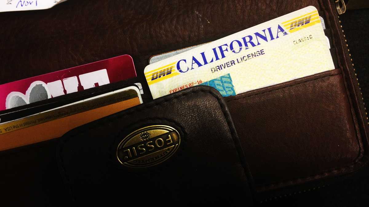 What will new immigrant licenses look like?