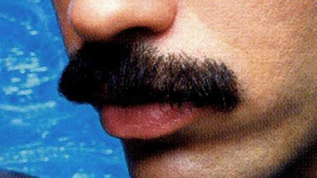 Guess that mustache!