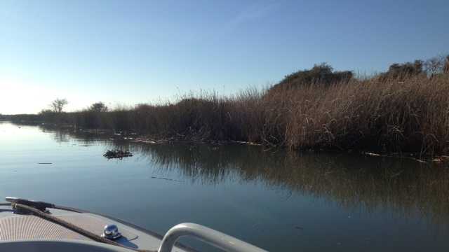 Photos: Visit site of proposed Delta restoration project