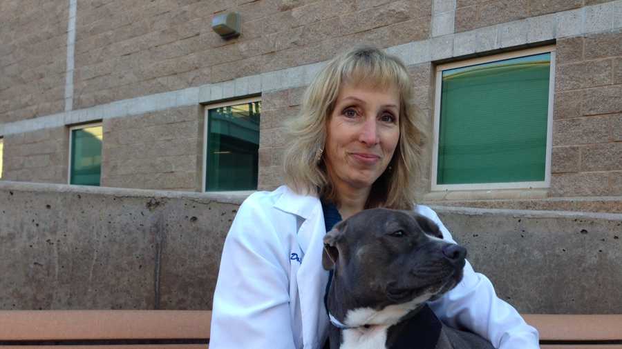 Bean the dog inspires groundbreaking collaboration at UC Davis