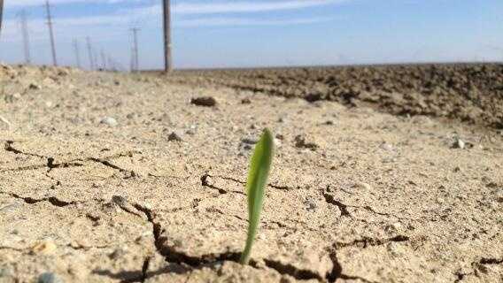 Photos: Life in drought-stricken Central Valley
