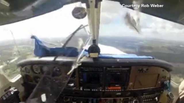 Bird vs. plane caught on camera