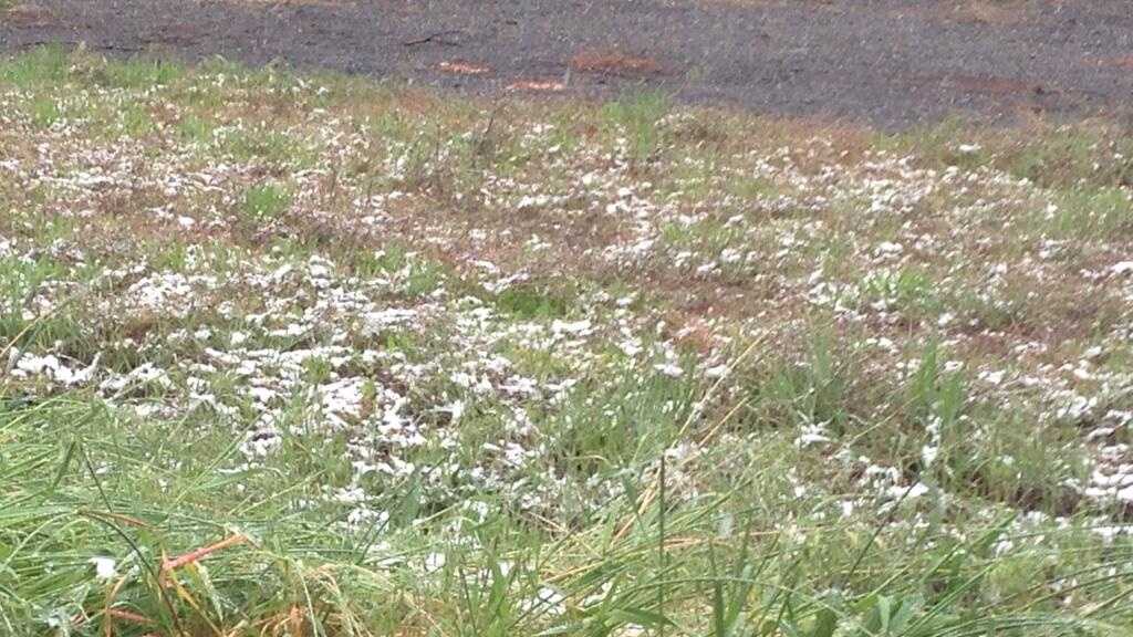 Photos: Spring snow falls in Sierra