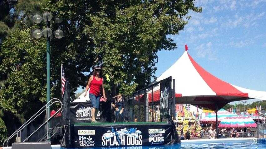 Photos: 161st California State Fair begins at Cal Expo