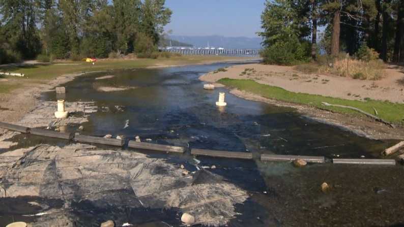 Drought prompts early fish stocking in Truckee River