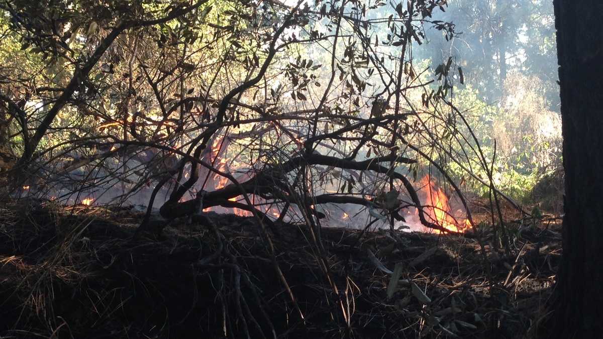 Photos: Crews save home from Applegate Fire