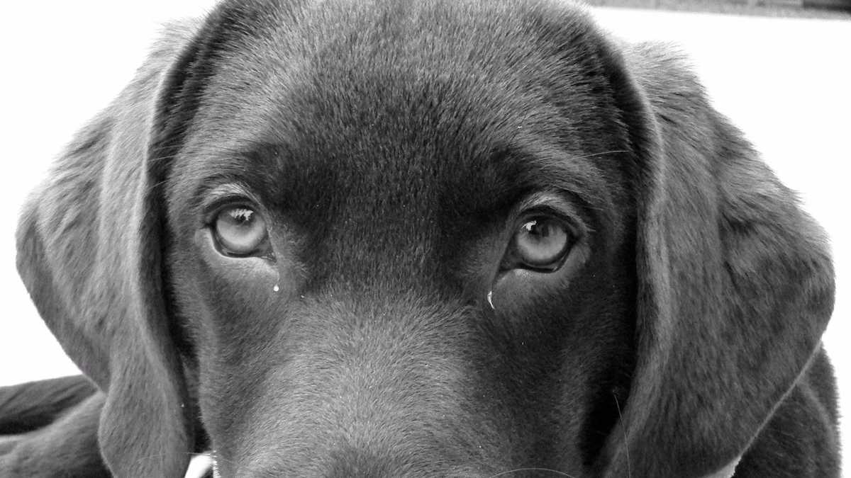 Brian Heap: 25 things you don't know about me