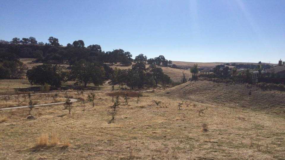 Brian Heap: 25 things you don't know about me