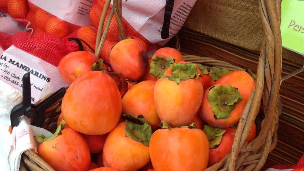 Brian Heap: 25 things you don't know about me