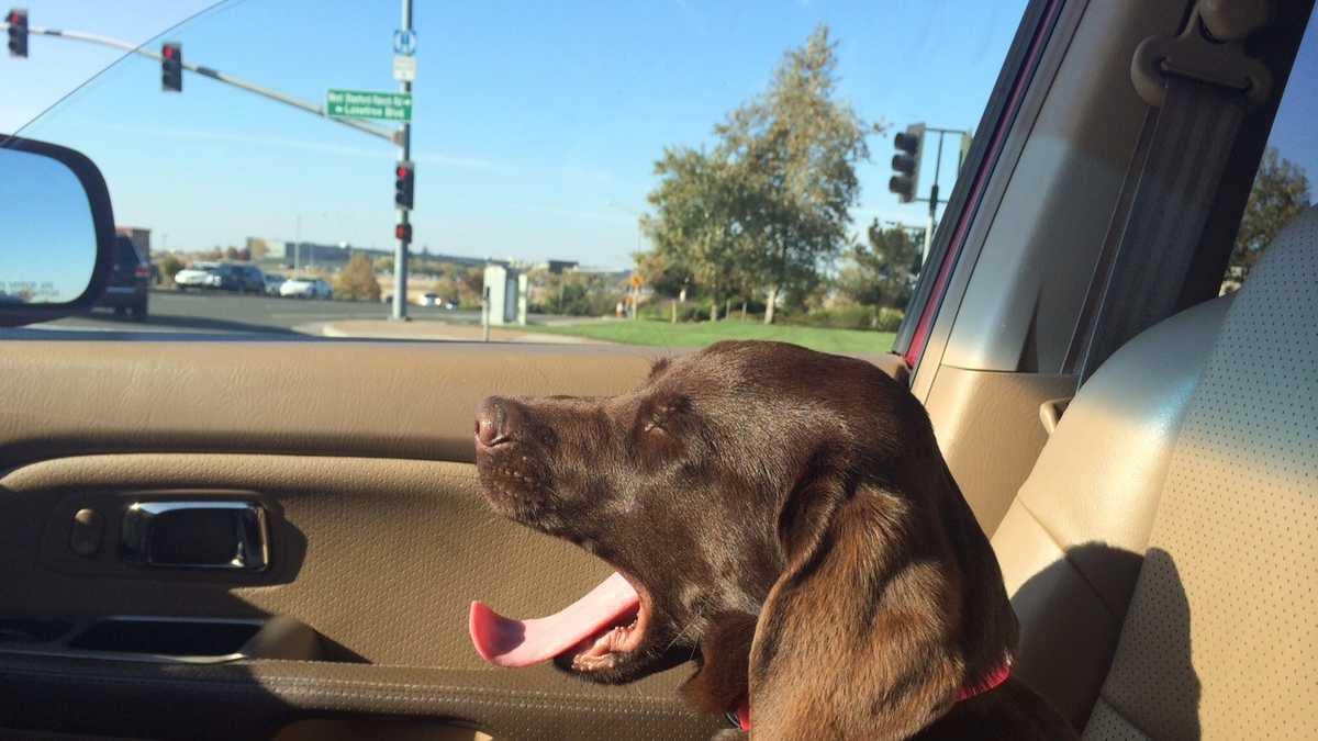 Brian Heap: 25 things you don't know about me