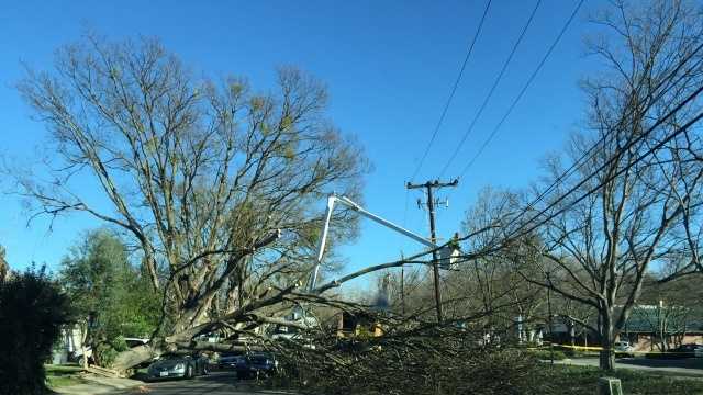 Photos: Damaging winds topple trees, cause power outages